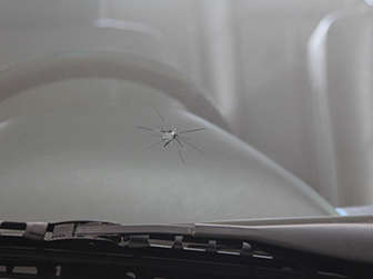 Updated: Types of windshield cracks | Blog | MotorHappy